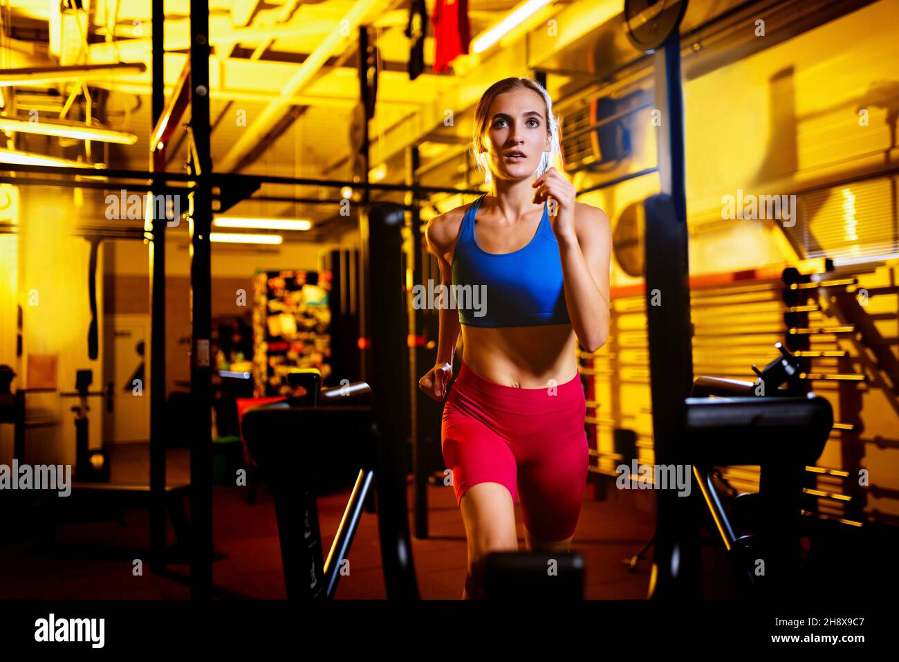Cropped portrait of sportive, fit, muscular young girl training, doing ...