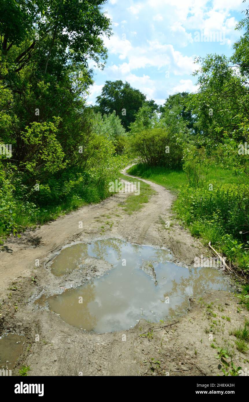 Landscape with the dirt road and a pool. Plesia Stock Photo - Alamy