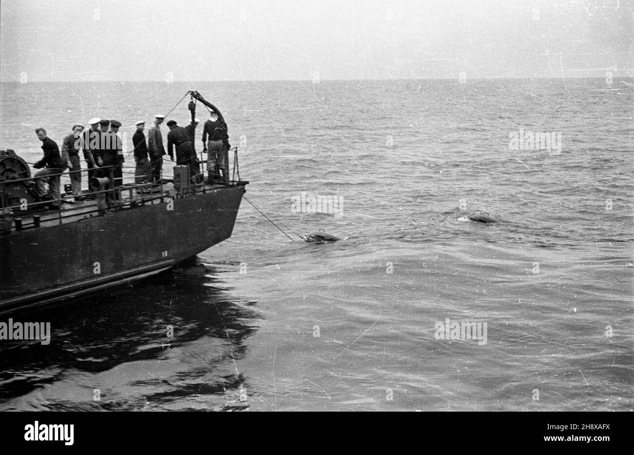 Polish navy minesweeper hi-res stock photography and images - Alamy