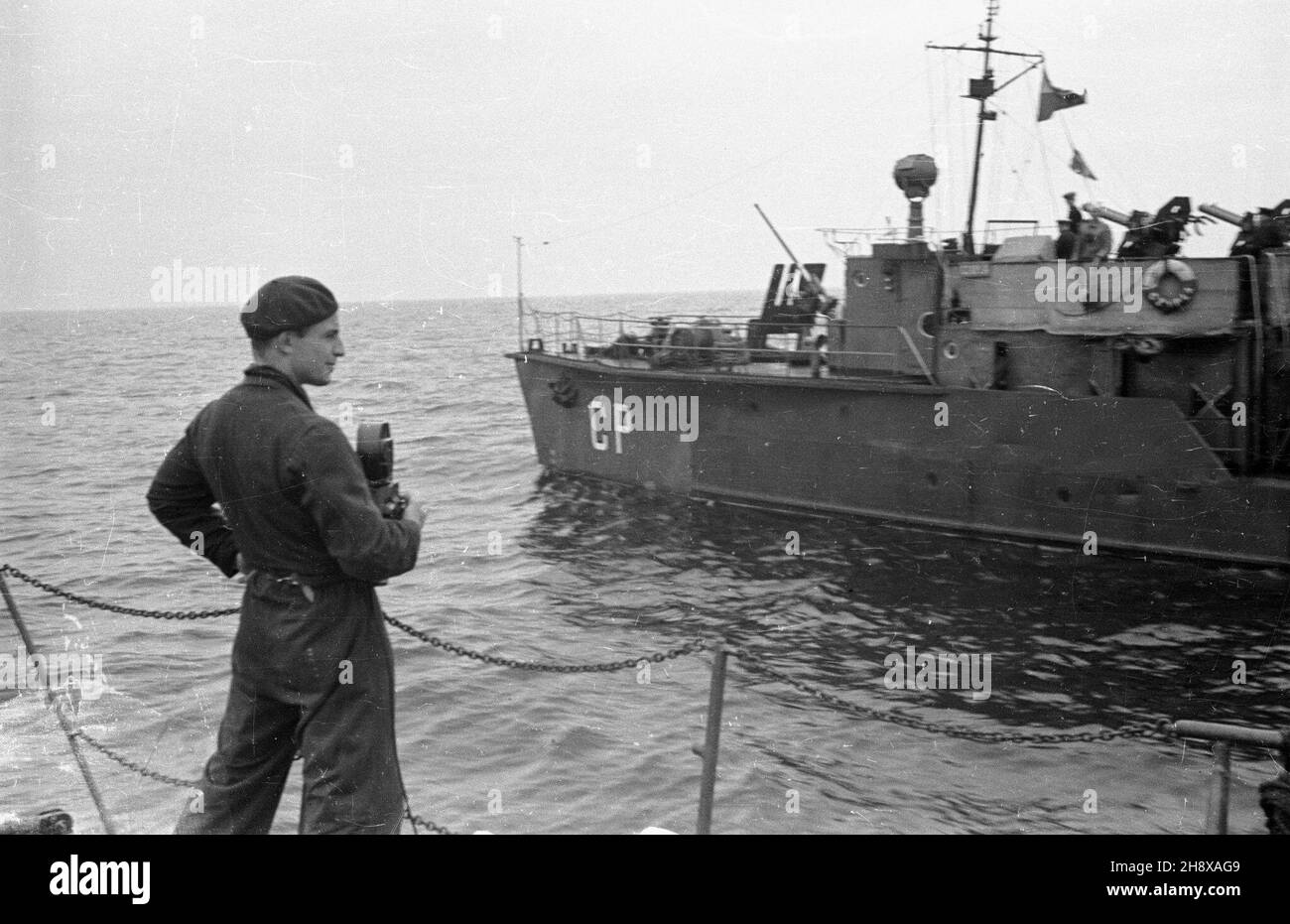 Orp czapla hi-res stock photography and images - Alamy