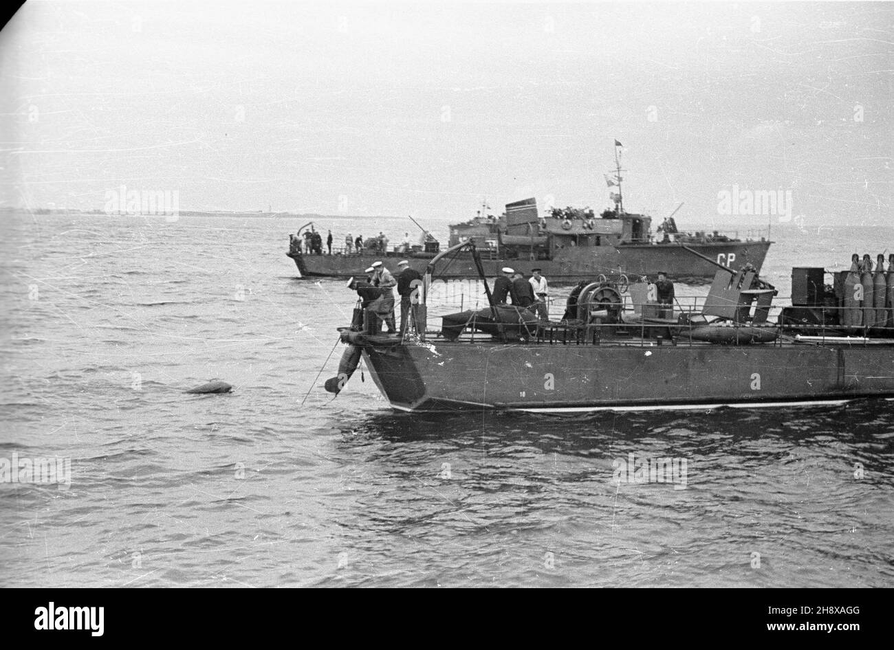 Orp czapla hi-res stock photography and images - Alamy