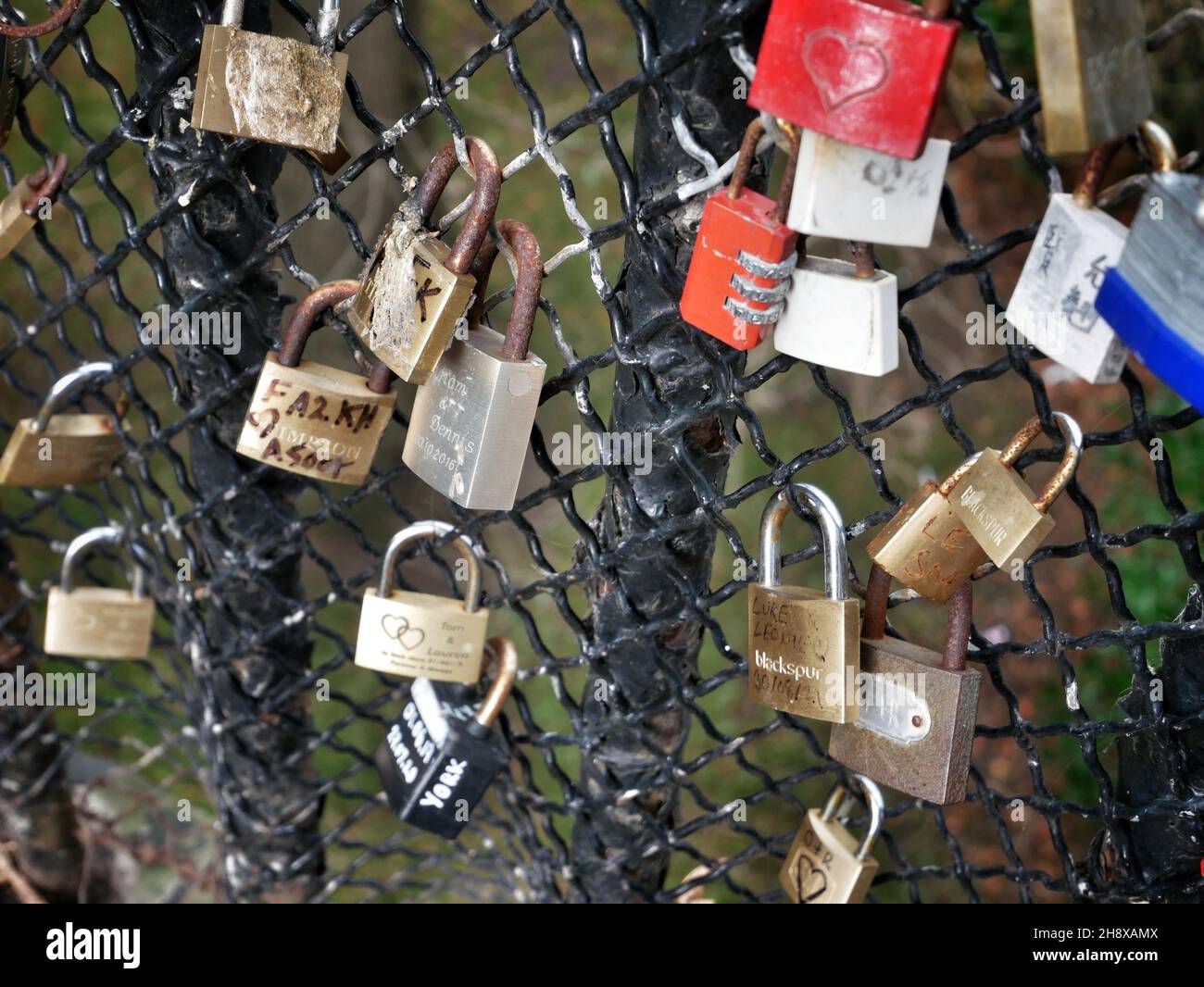 EDINBURGH The News Steps, where people put love locksPicture by Julian ...