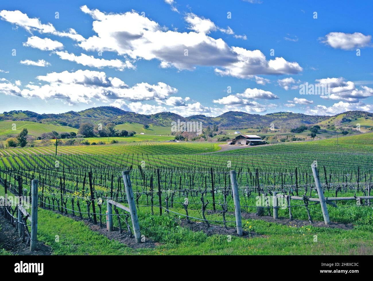 Sonoma county california vineyards hi-res stock photography and images ...