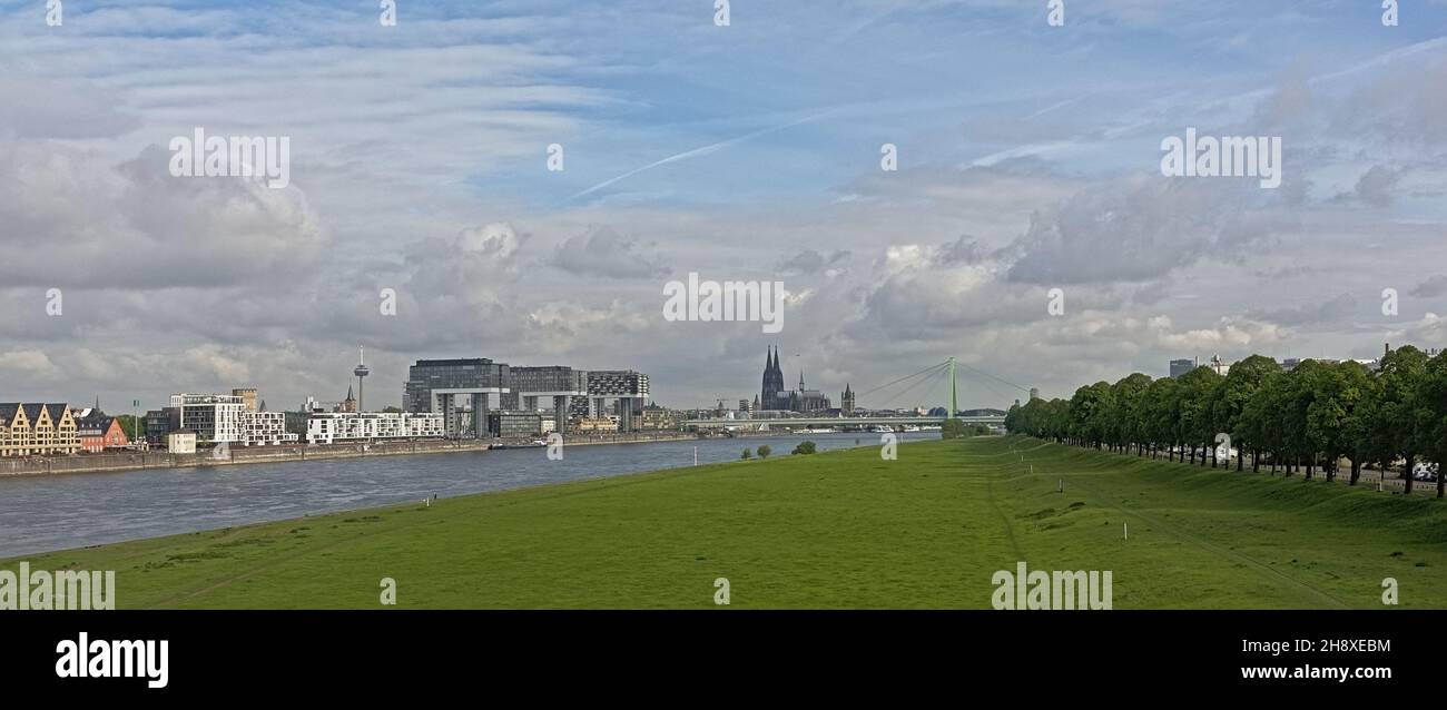 Meadow with hiking trail in Poller Wiesen park along river River Rhine ...