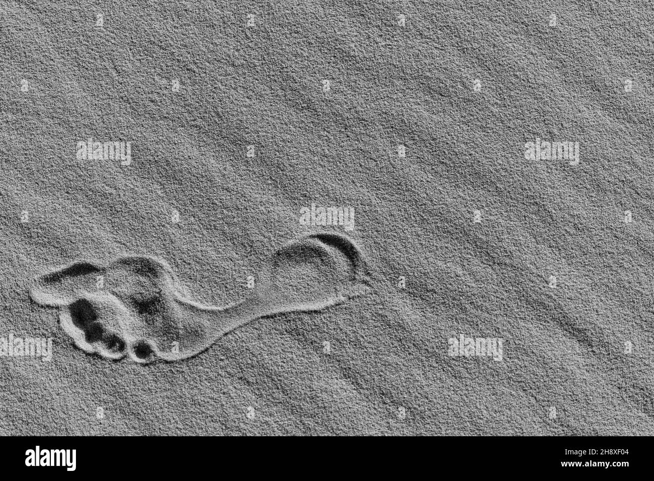 Trail of footprint Black and White Stock Photos & Images - Alamy