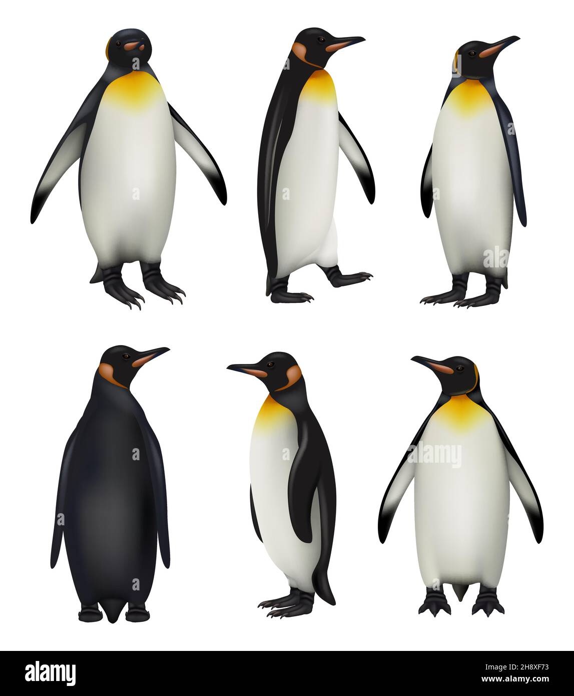 Penguins. Antarctica wildlife king penguins in realistic style cold ...