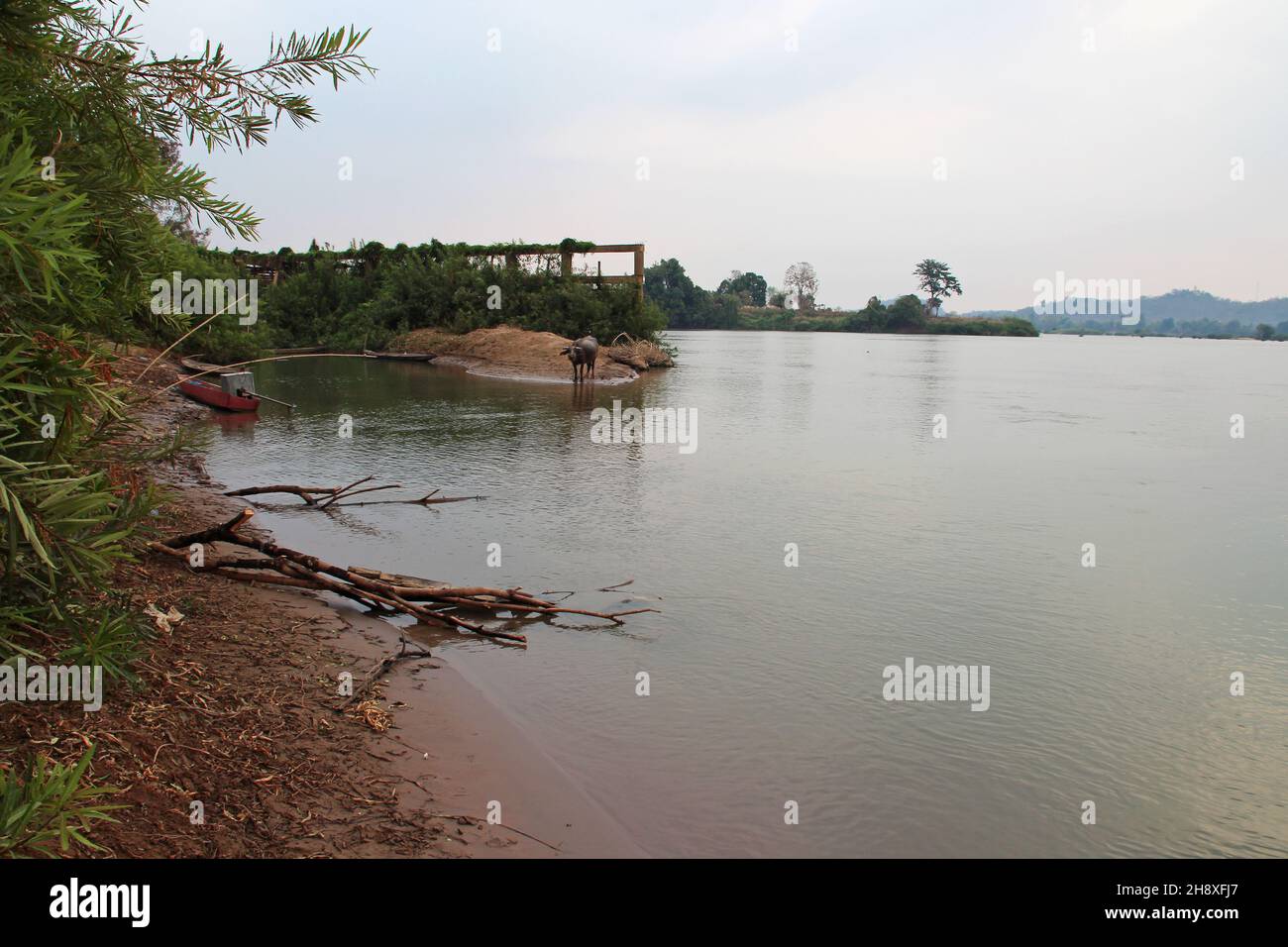 river mekong at khong island in laos Stock Photo - Alamy