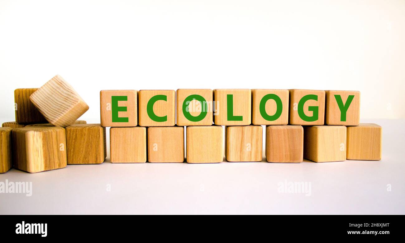 Ecology symbol. The concept word Ecology on wooden cubes. Beautiful ...