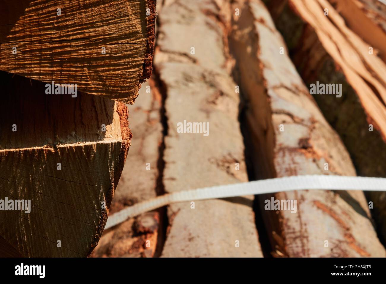 Long firewood neatly stacked and tied together into a bundle, close-up ...