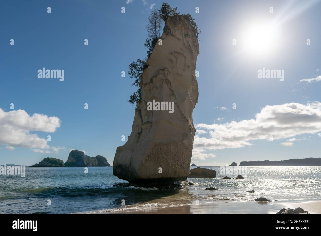 The big rock at the beach cathedral cove in Coromandel, New Zealand ...
