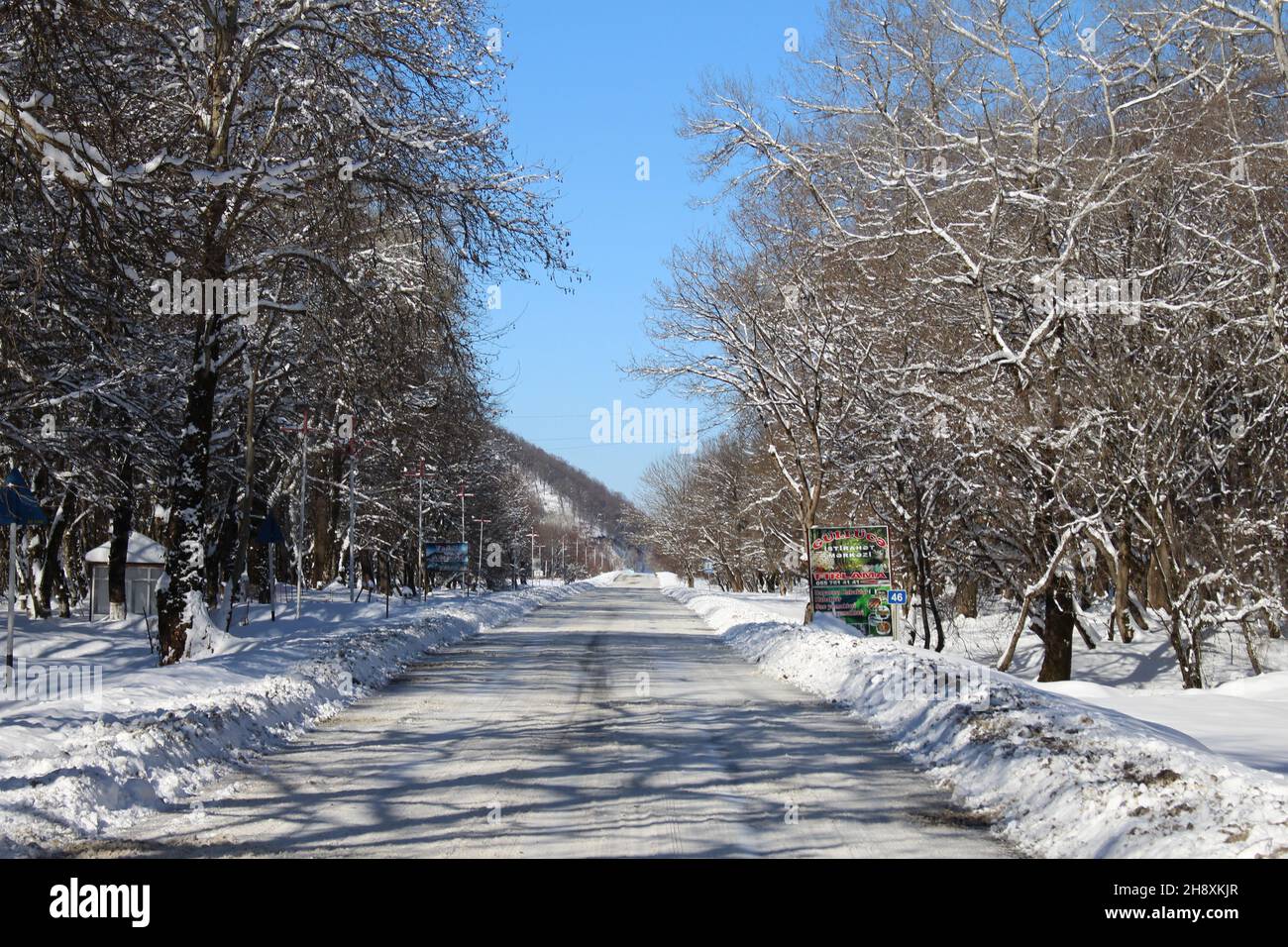 Forest in snow. Snowy forest road. Forest road Stock Photo - Alamy
