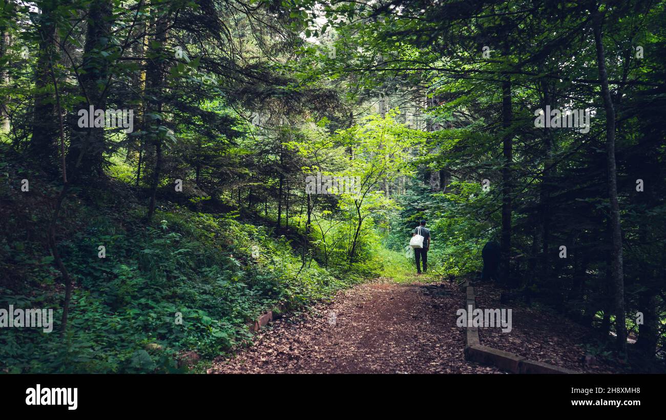 man walking in the forest Stock Photo - Alamy