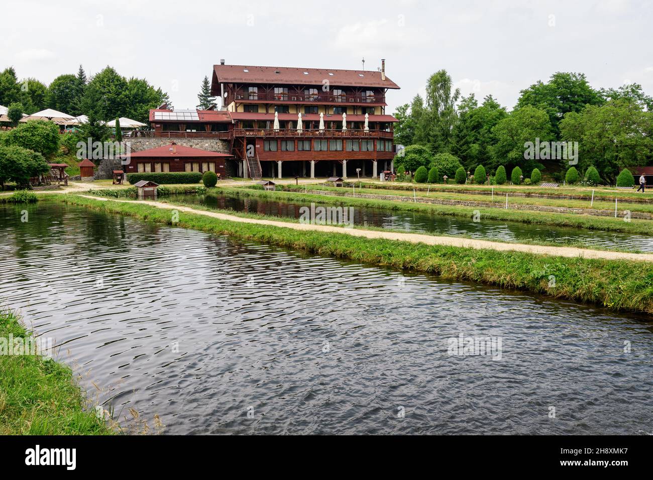 Pastravaria albota hi-res stock photography and images - Alamy