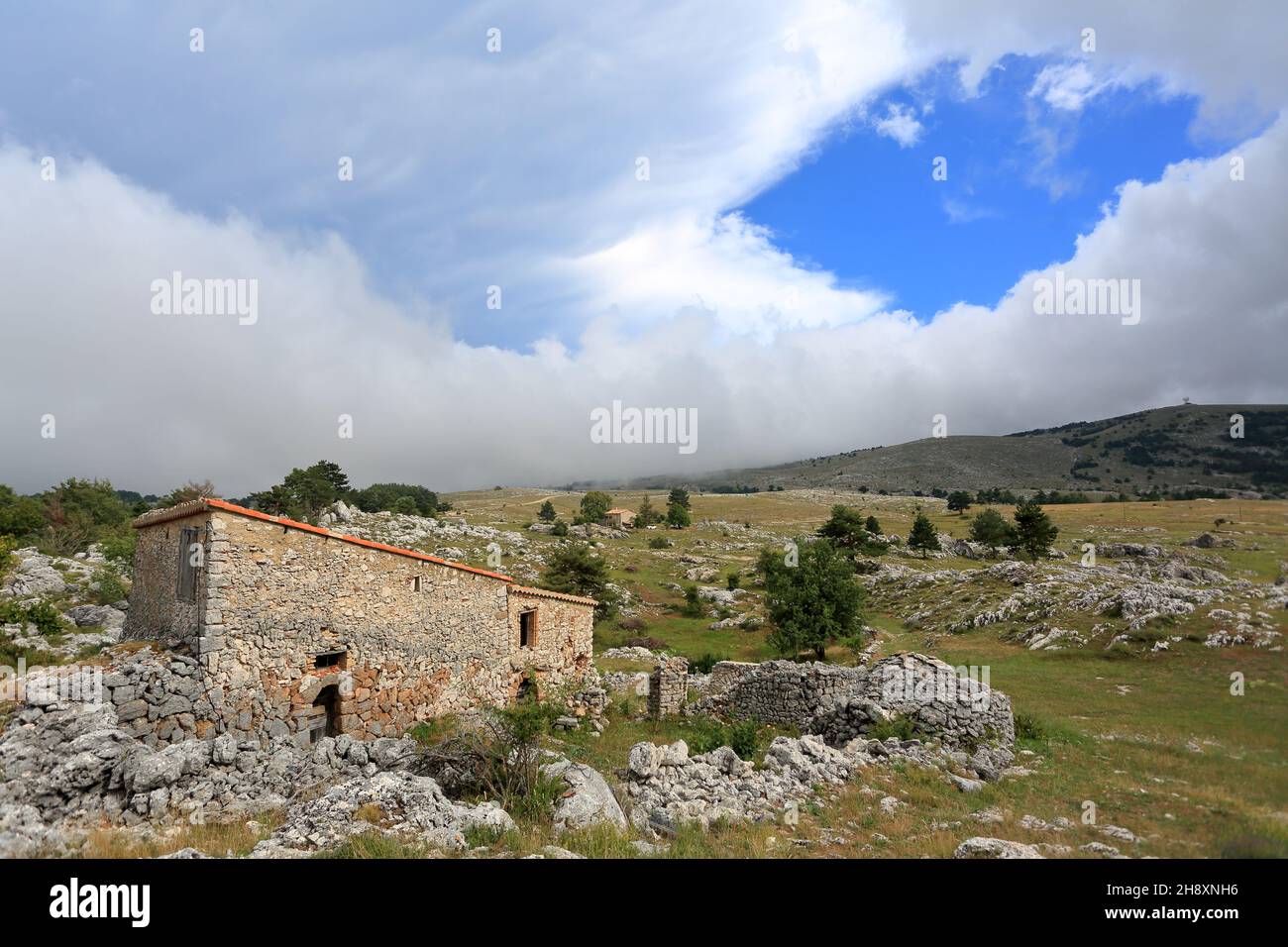 Plateau de Caussols, Parc regional des Prealpes d'Azur, Alpes Maritimes ...