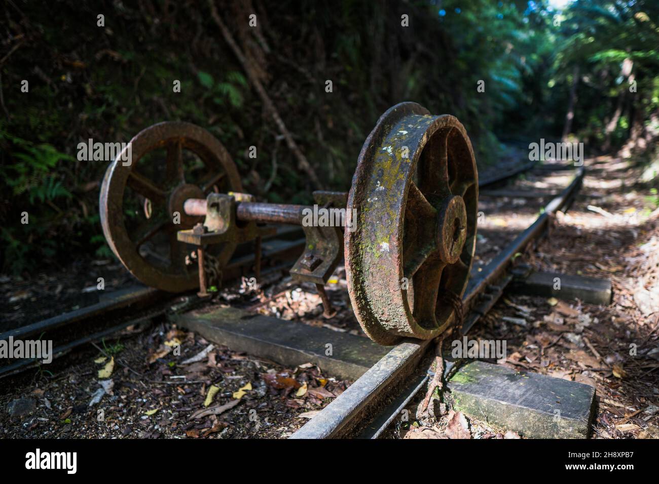 Abandoned railroad track, Te Aroha Mountain Gold Mining Walking Track ...