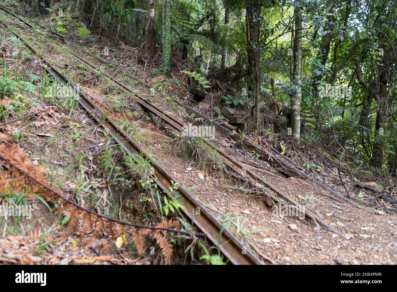 Abandoned railroad track, Te Aroha Mountain Gold Mining Walking Track ...