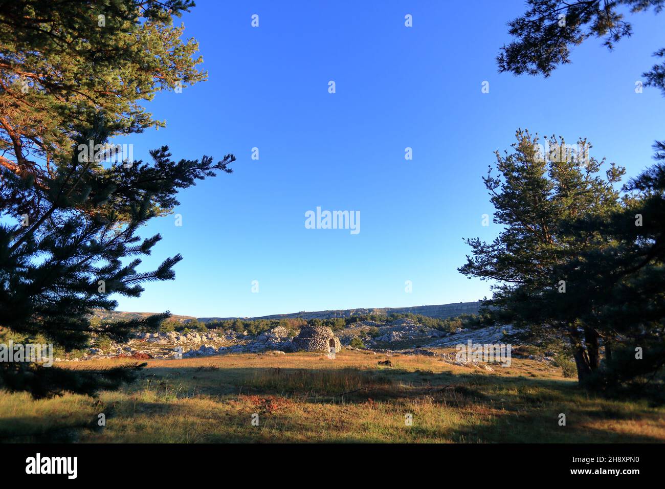Plateau de Caussols, Parc regional des Prealpes d'Azur, Alpes Maritimes ...