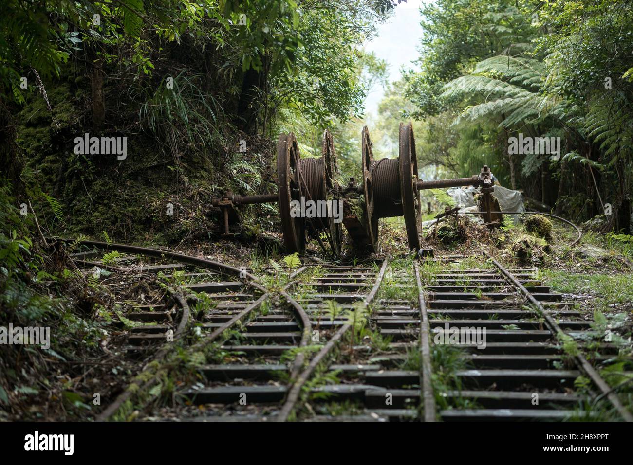 Abandoned railroad track, Te Aroha Mountain Gold Mining Walking Track ...