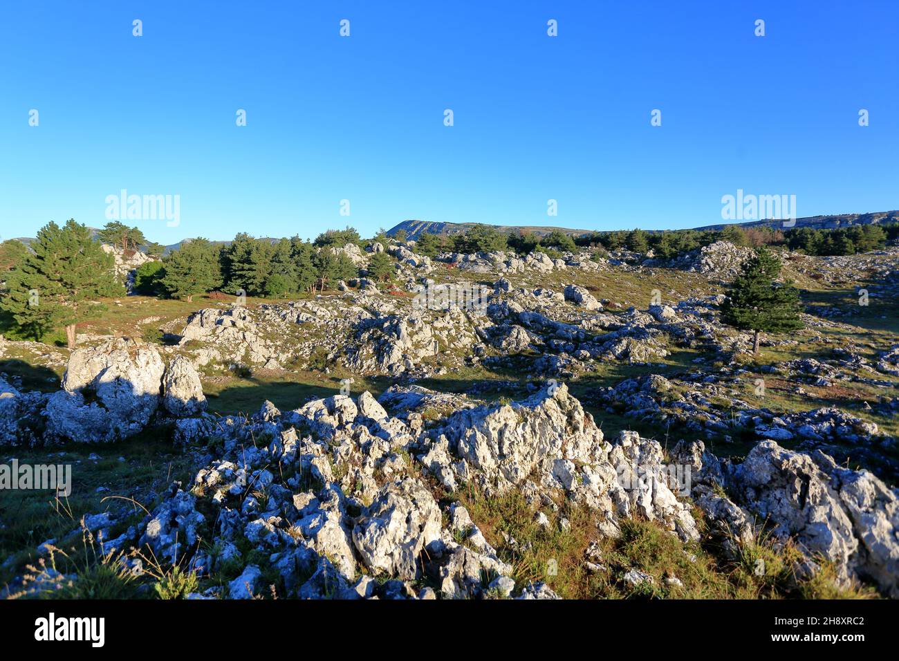 Plateau de Caussols, Parc regional des Prealpes d'Azur, Alpes Maritimes ...