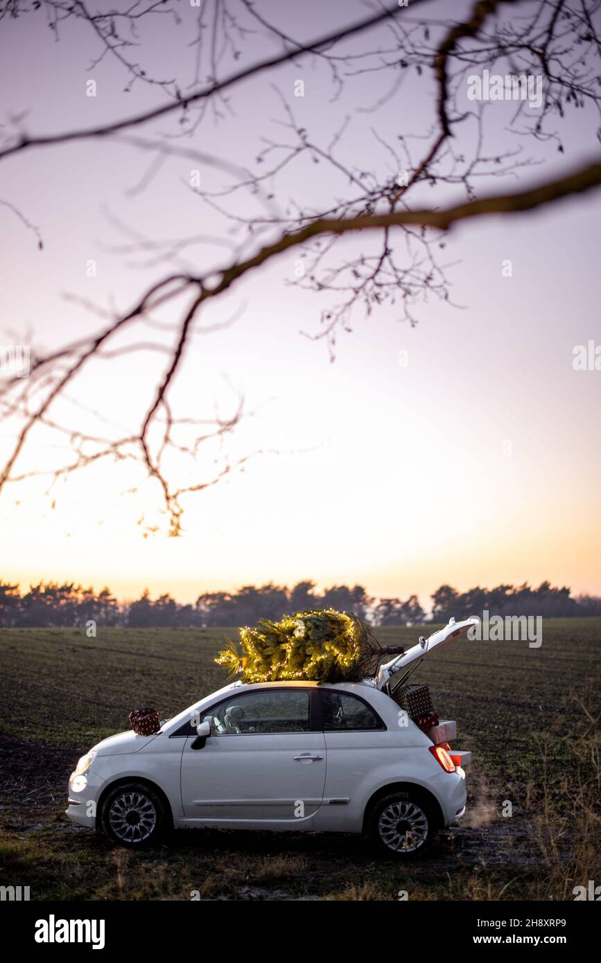 Car with Christmas tree on a rooftop on nature Stock Photo - Alamy