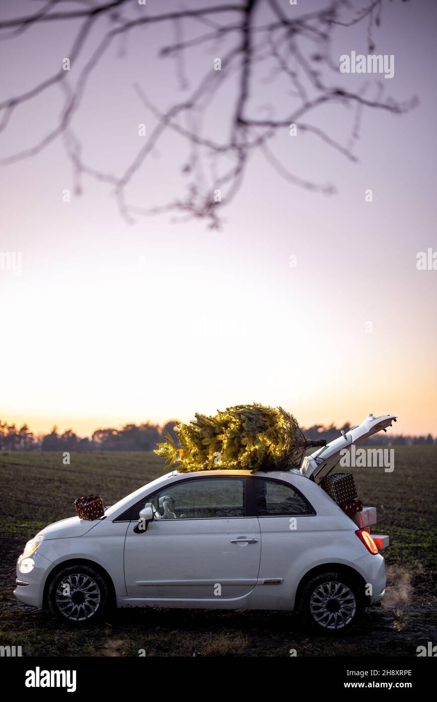 Car with Christmas tree on a rooftop on nature Stock Photo - Alamy