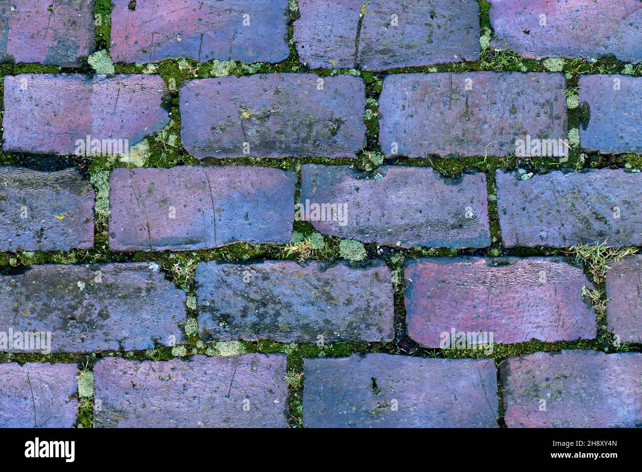 Texture of brick pavement and board with moss Stock Photo - Alamy