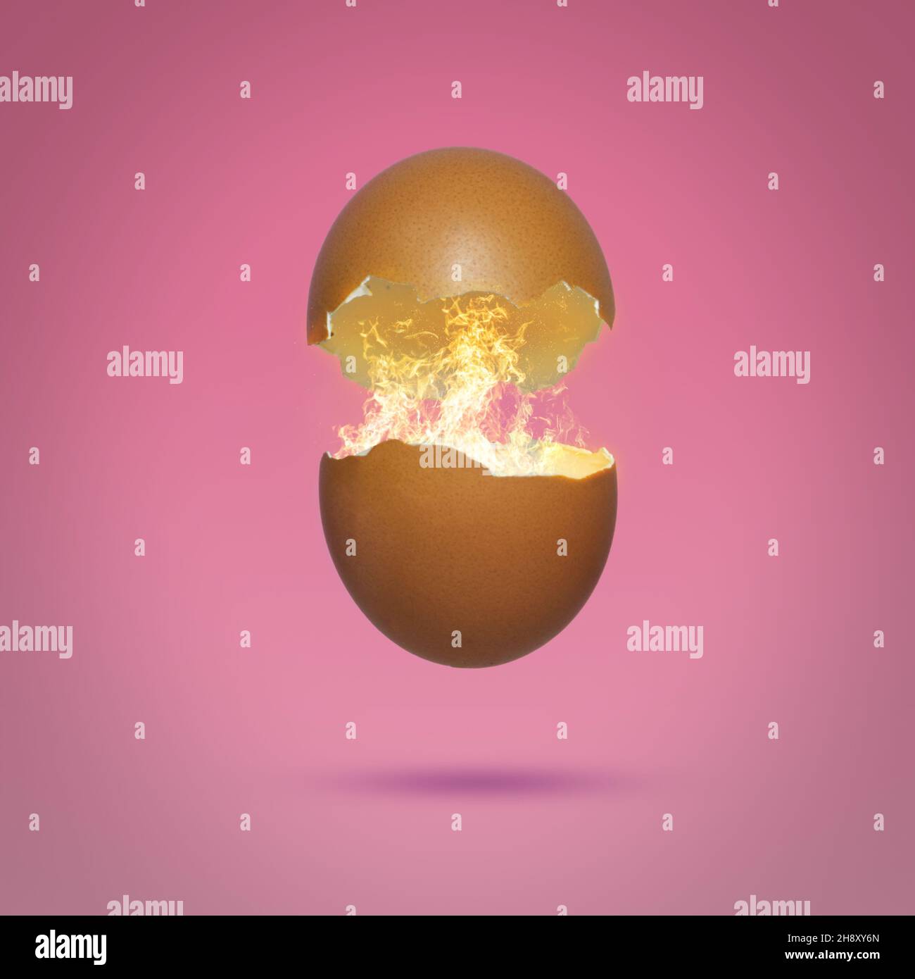 Flame shells hi-res stock photography and images - Alamy