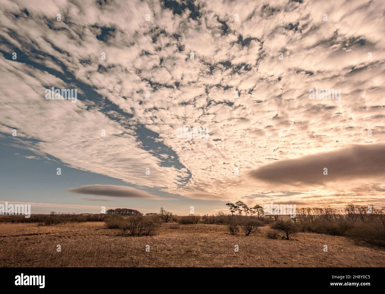 Looking across Tarn Moss beneath an ever-changing mackerel sky ...