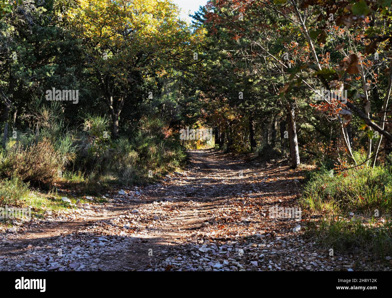 Mount subasio park hi-res stock photography and images - Alamy
