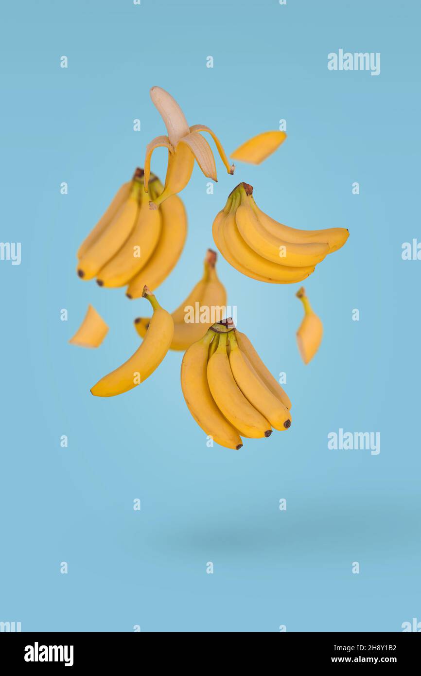 Lots fresh bananas flying in air isolated on a blue background. Minimal ...