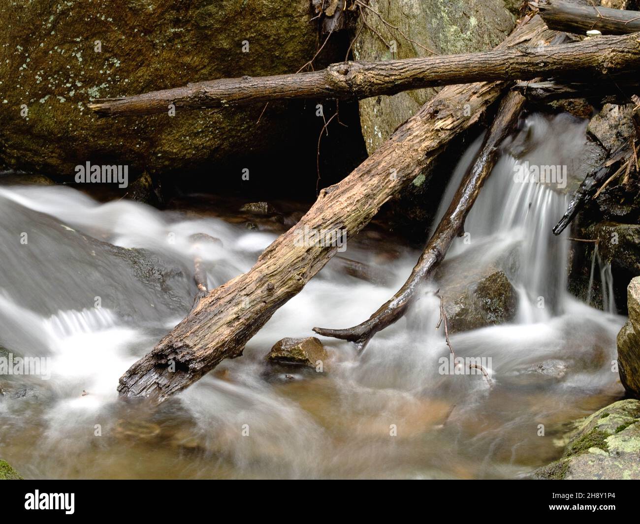 Slow motion rough hi-res stock photography and images - Alamy