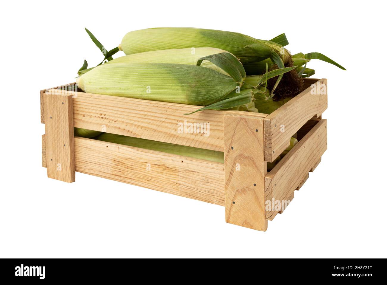 wooden crate of fresh corn cobs with green leaves on white background ...