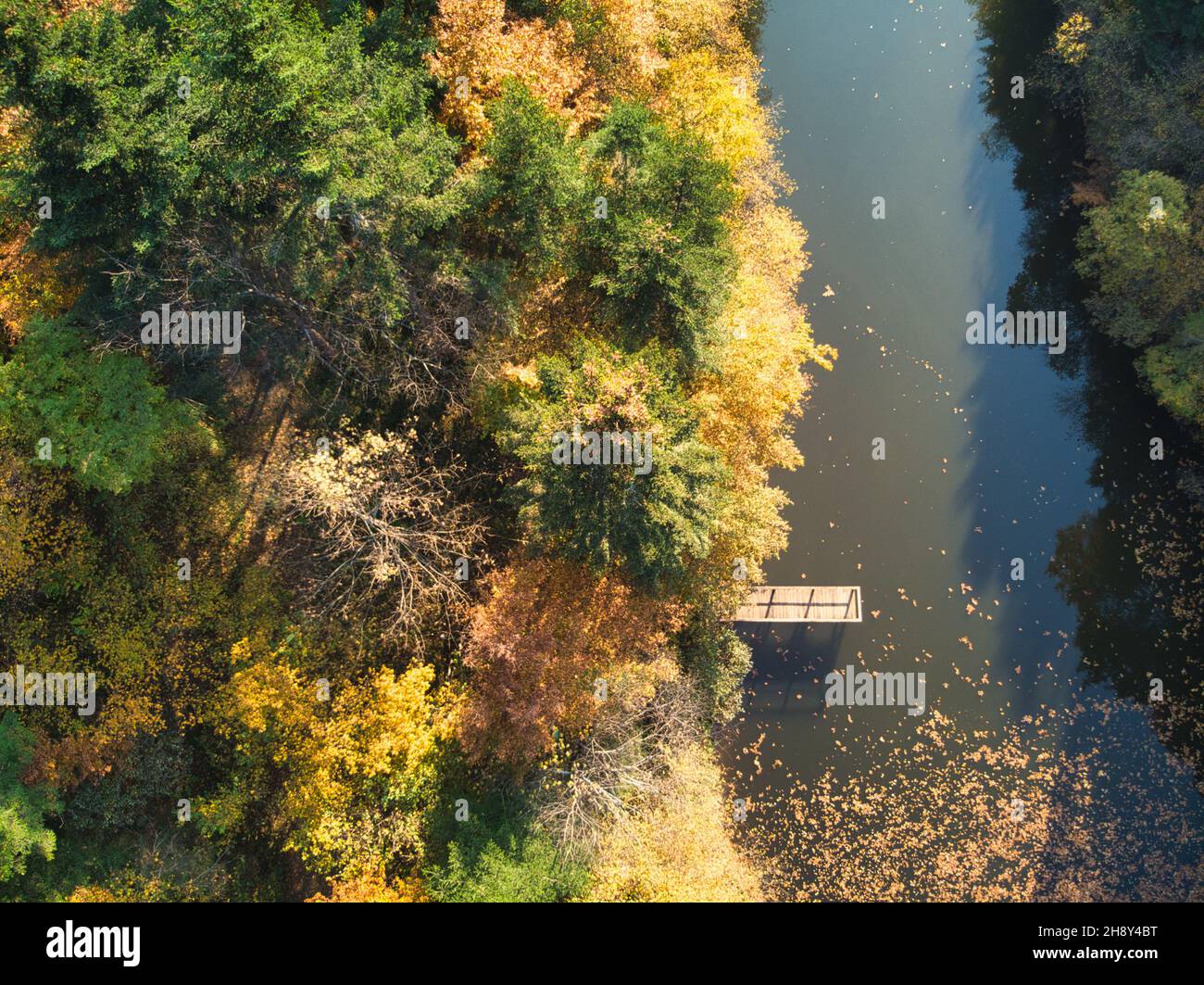 Top view of a wooden pier in a river flowing through the forest Stock ...