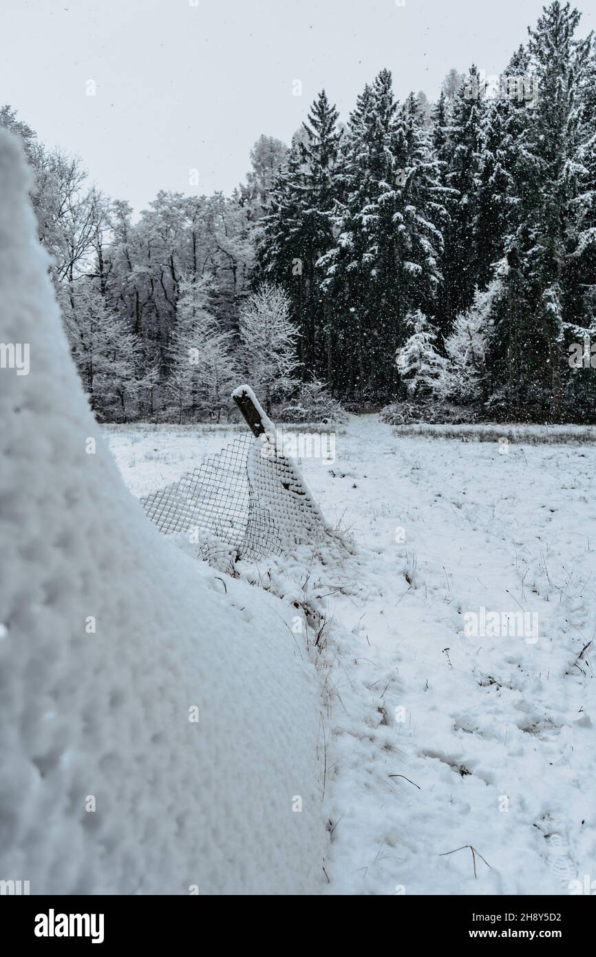 Snowy frozen metal fence,trees in backround. Winter snowy weather.Old ...