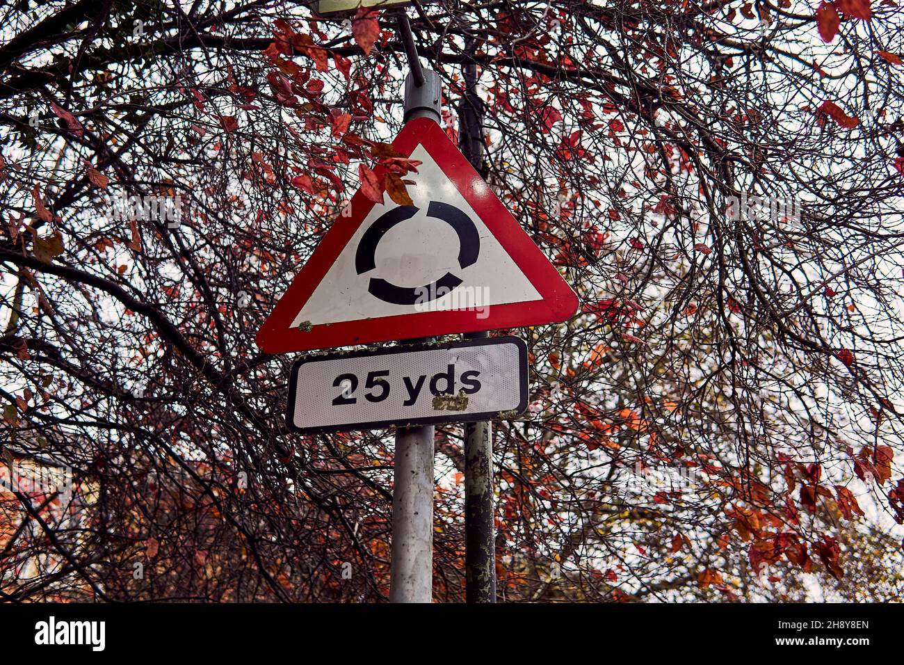 25 yds sign board in autumn Stock Photo - Alamy