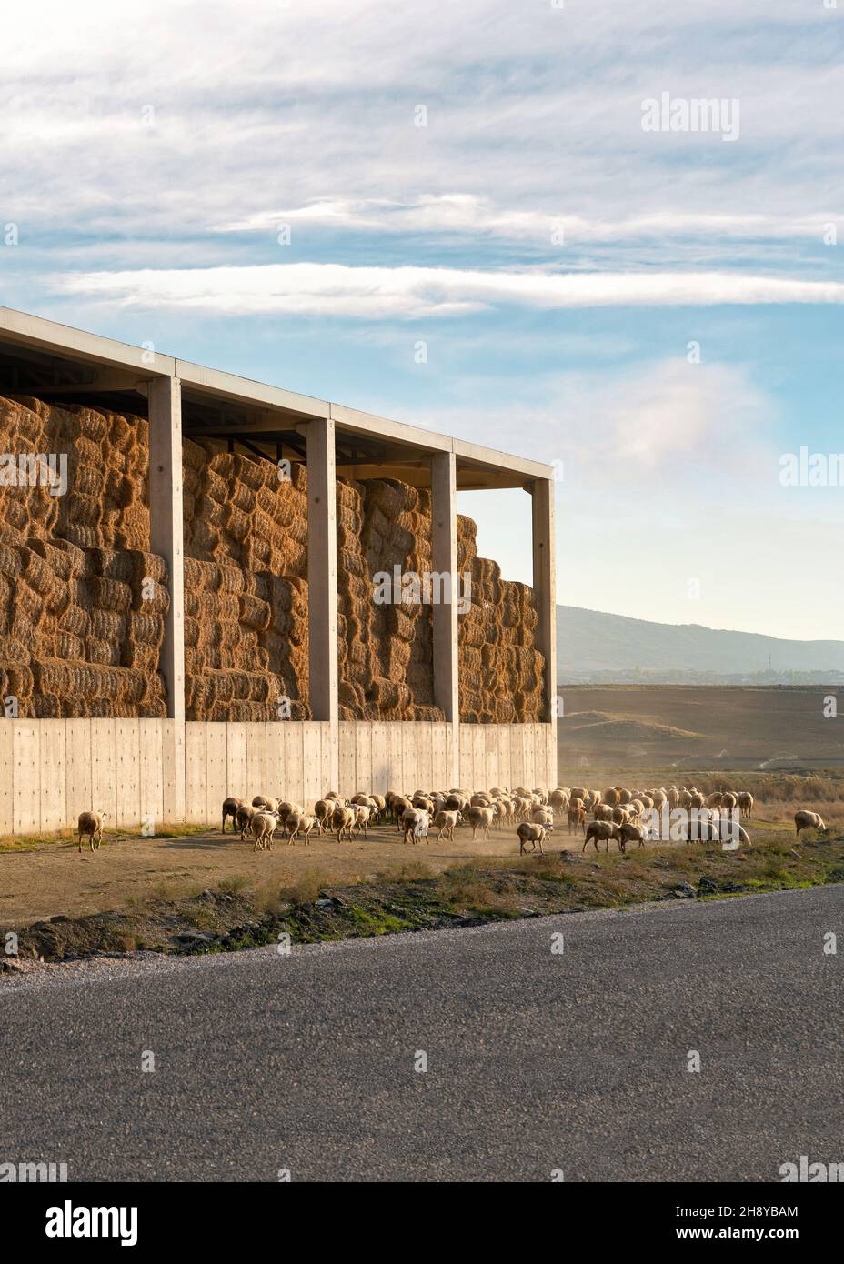 concrete structure in which straw bales are stored Stock Photo - Alamy