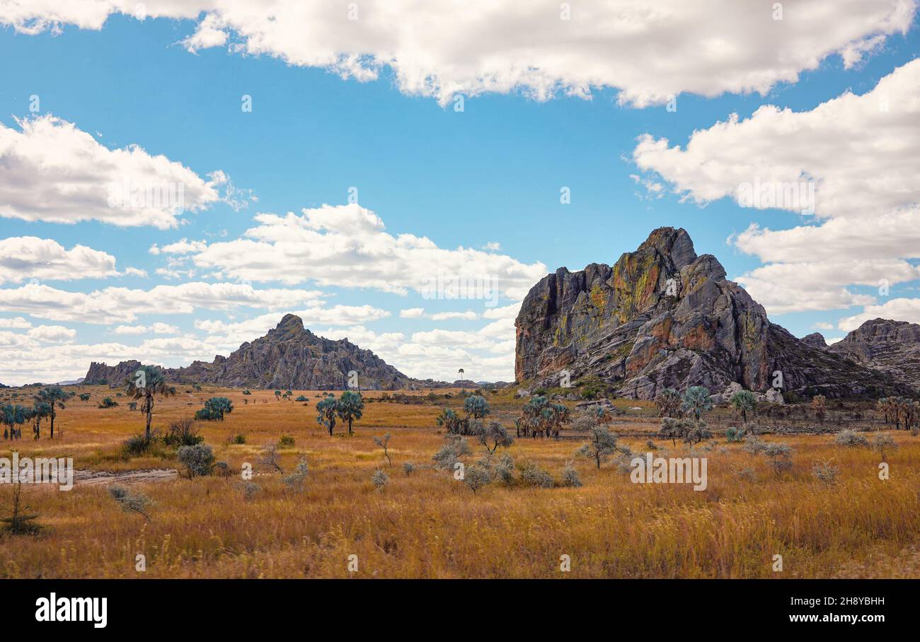 Low grass growing on African savanna, small rocky mountains in ...