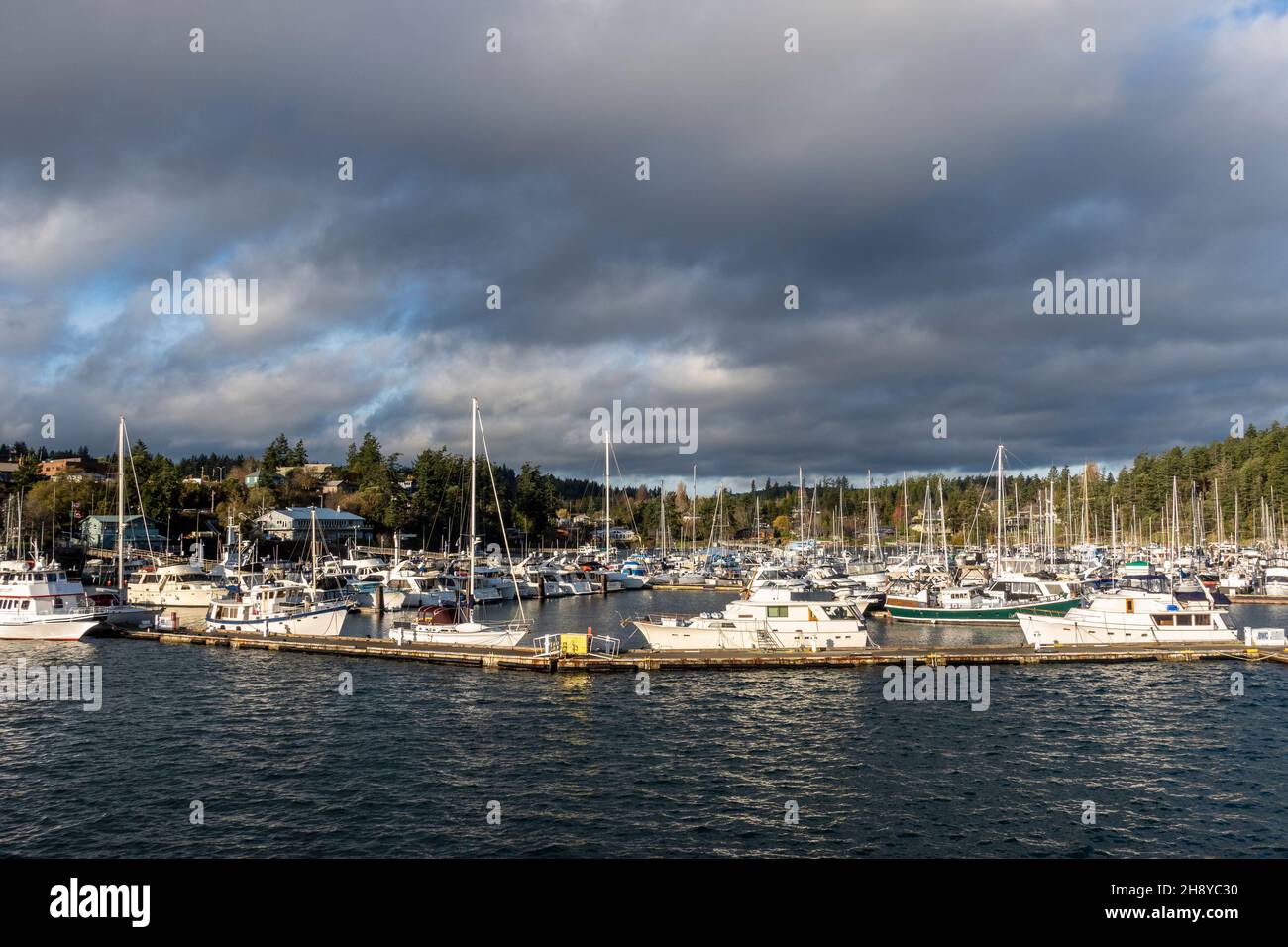 Harbor island seattle hi-res stock photography and images - Alamy