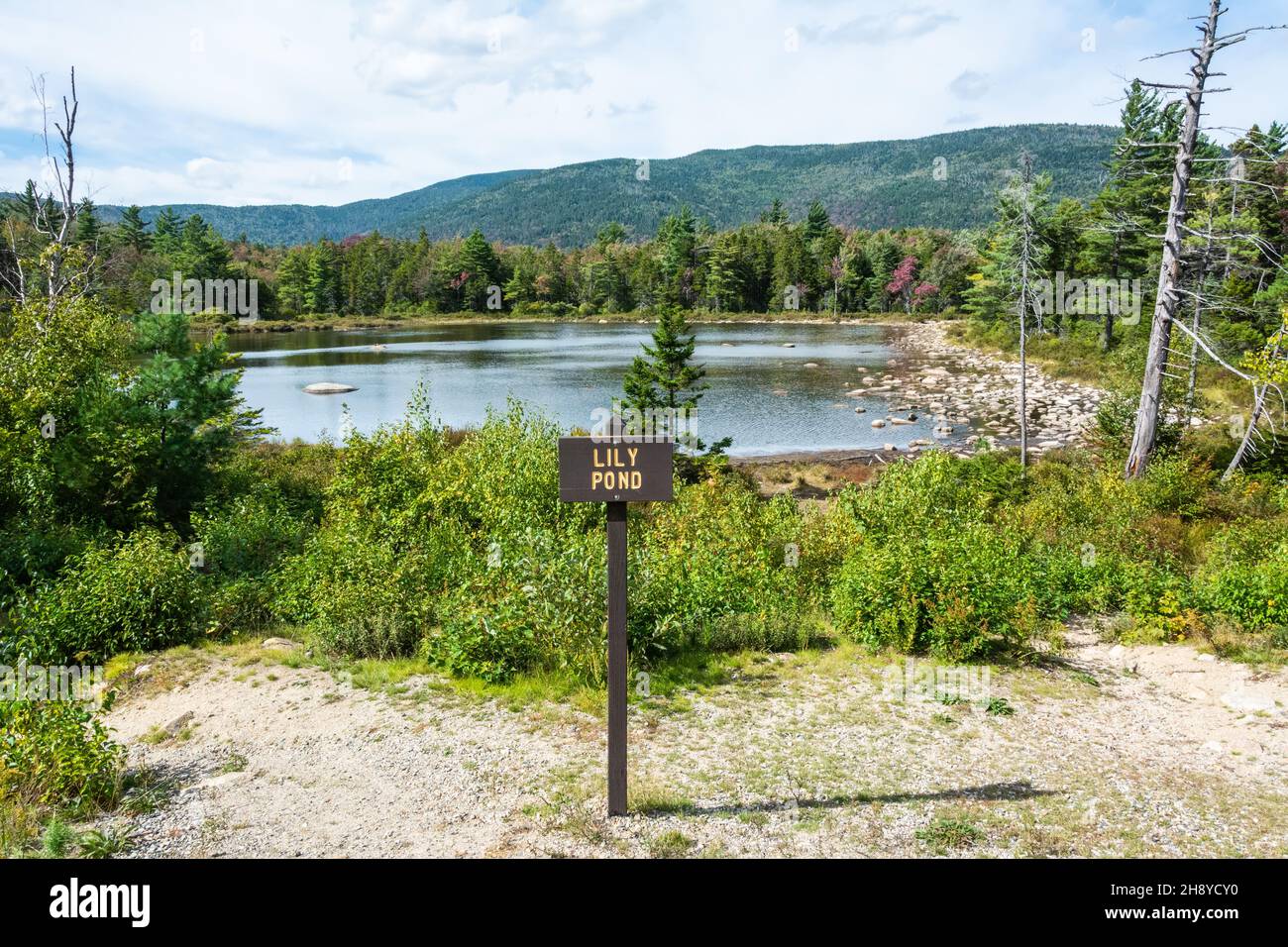 Lily Pond along the Kancamagus Highway in the White Mountain National ...