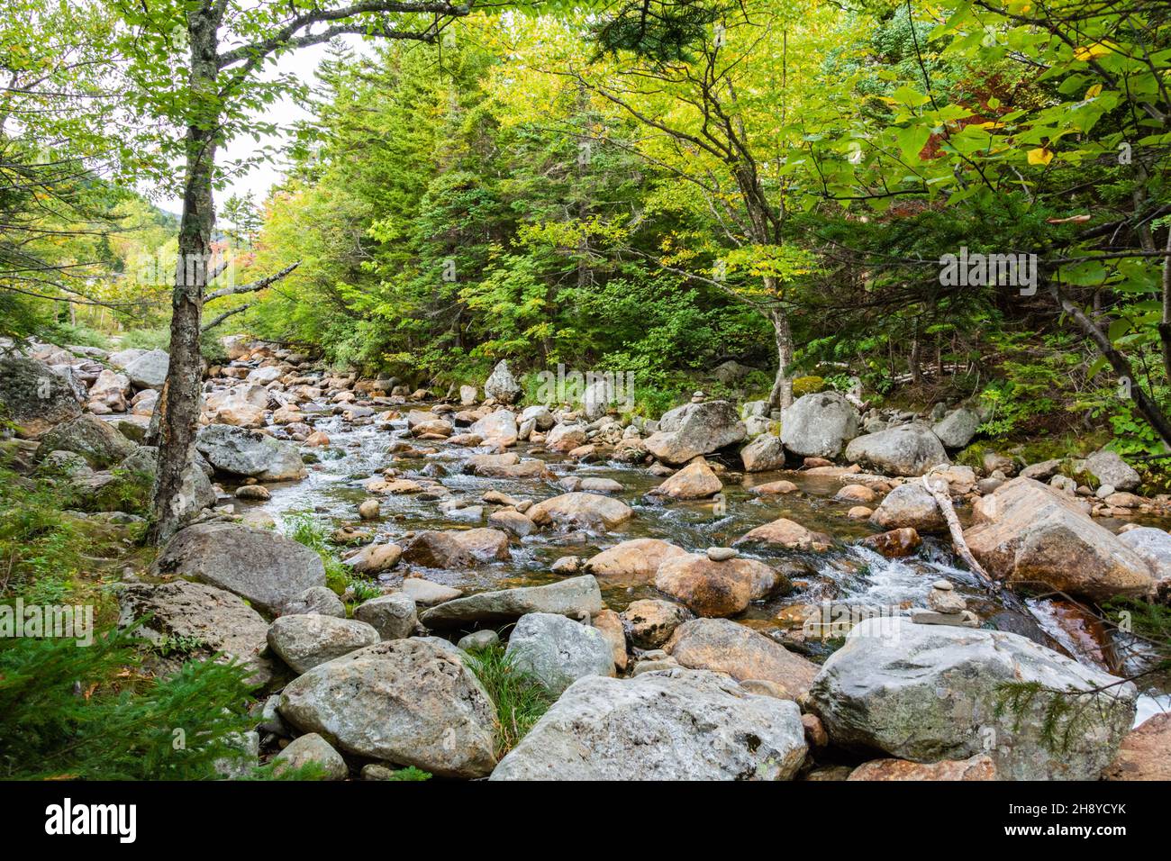 Landscape around Ellis River near Pinkham Notch mountain pass in the ...