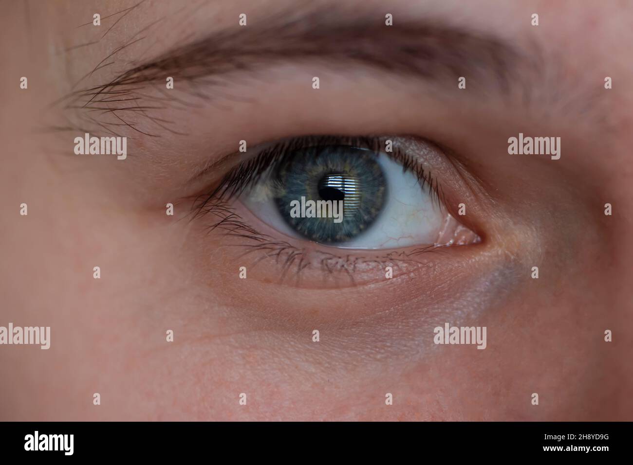 Closeup of female blue eye without makeup Stock Photo - Alamy