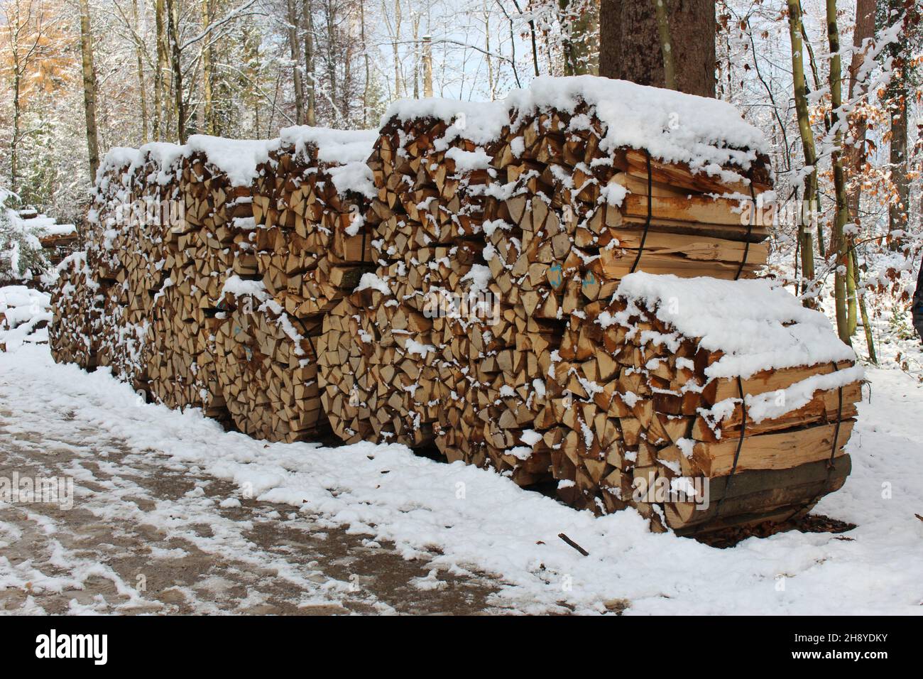 Firewood with snow hi-res stock photography and images - Alamy