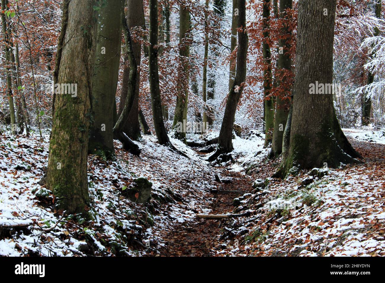 Small ravine hi-res stock photography and images - Alamy