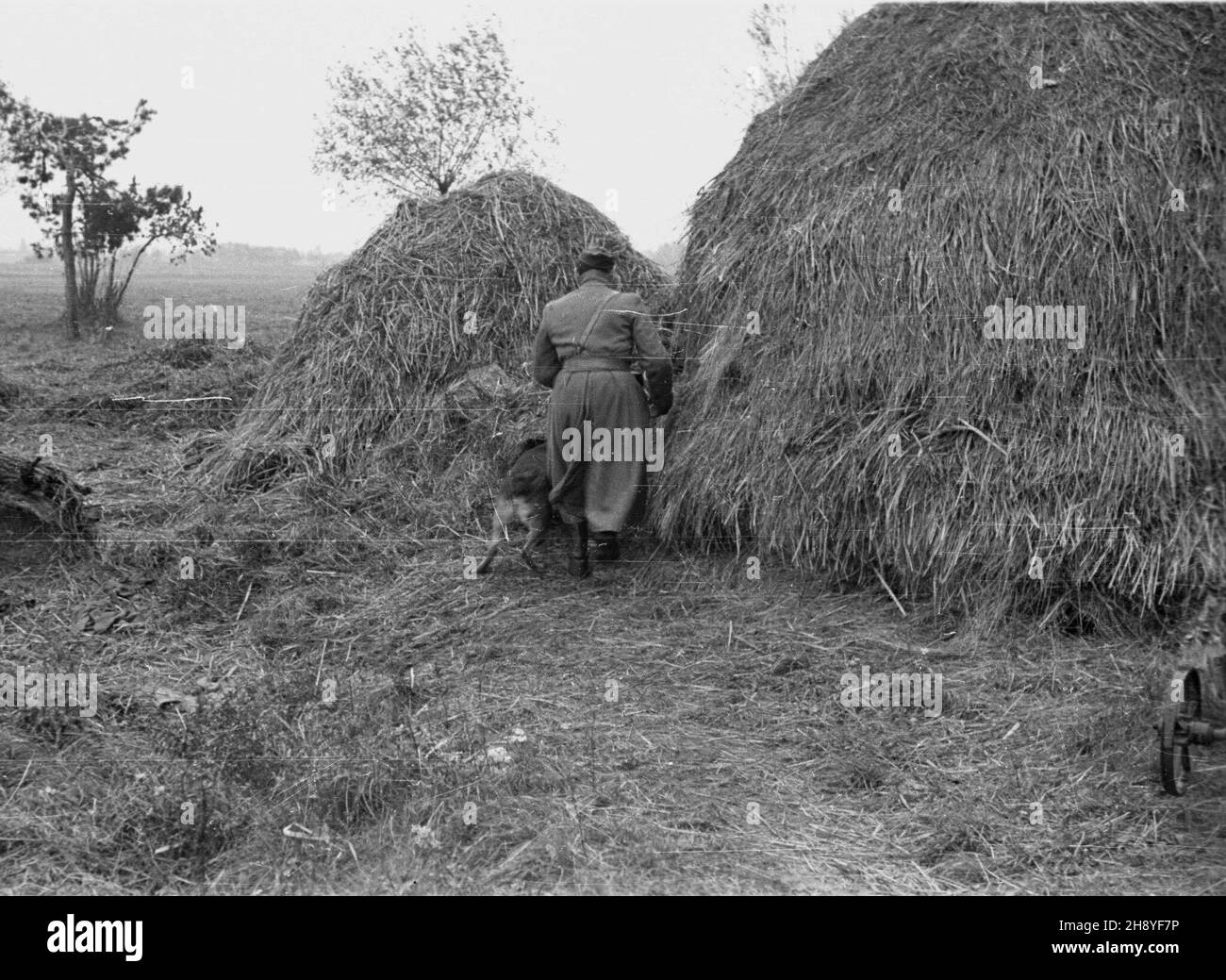 Stog siana hi-res stock photography and images - Alamy