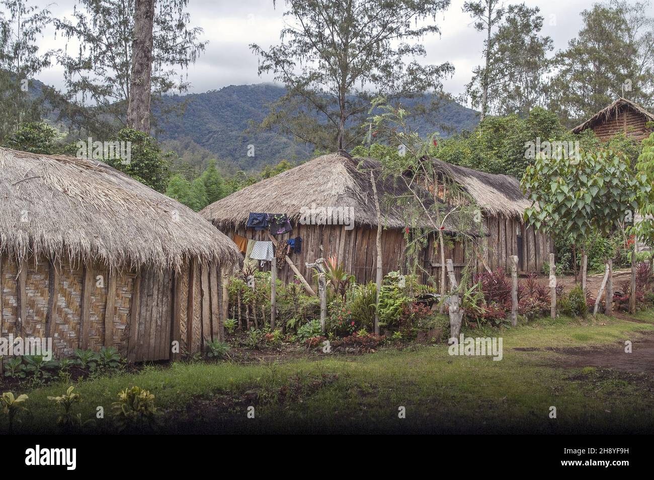 Papua New Guinea; Eastern Highlands; Goroka; Namta; Papuan village ...