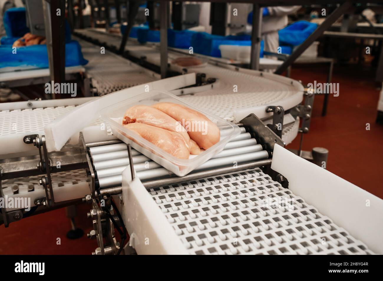 Line for the production of semi-finished meat products.Meat processing ...