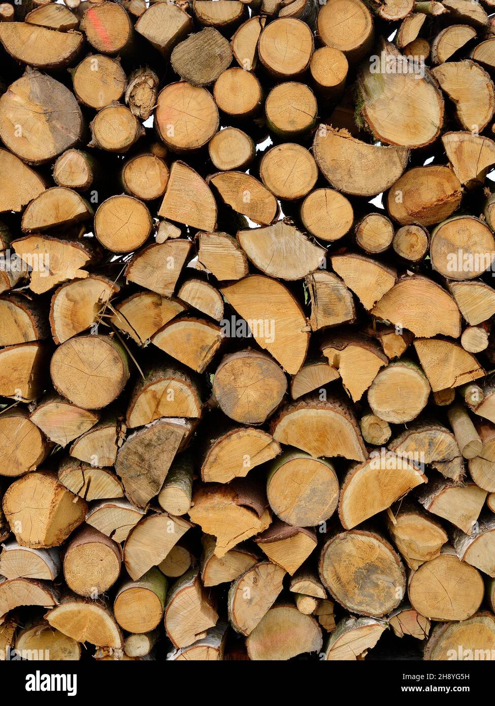 Raw wood pile texture Stock Photo - Alamy