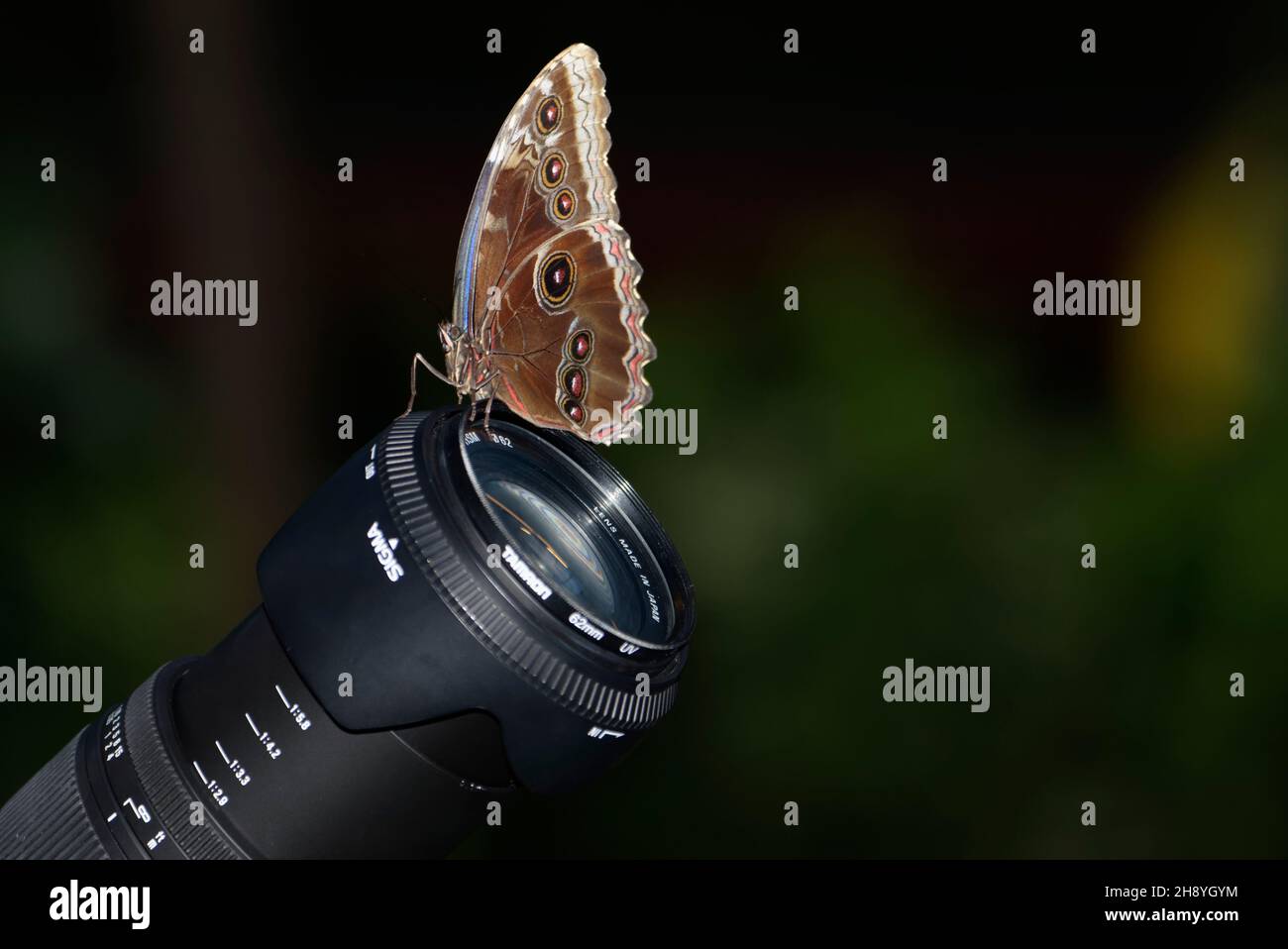 Nah ran hi-res stock photography and images - Alamy