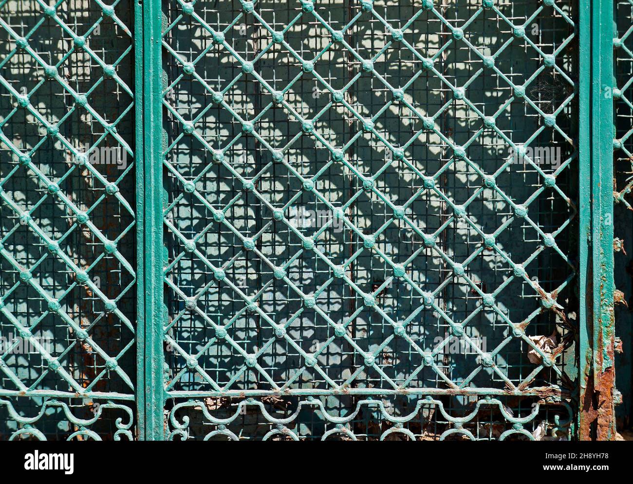 Green grid texture background Stock Photo - Alamy