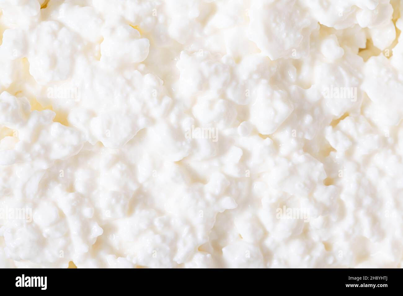 Close-up of texture fresh cottage cheese. Abstract food background ...